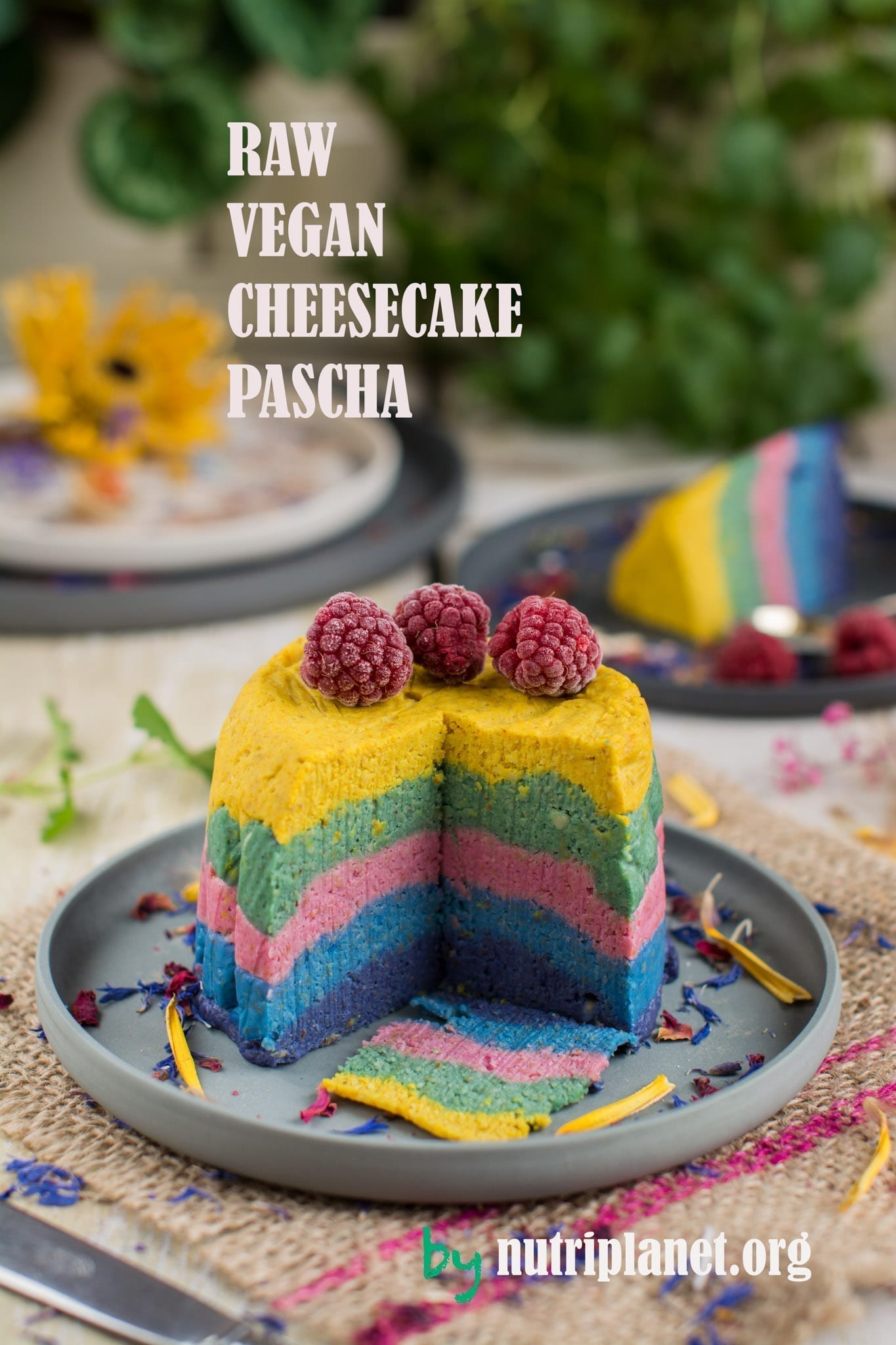 Raw Vegan Cheesecake Recipe [Gluten Free and Oil Free]