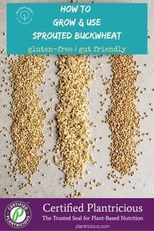 Sprouted Buckwheat aka How to Sprout Buckwheat | Nutriplanet