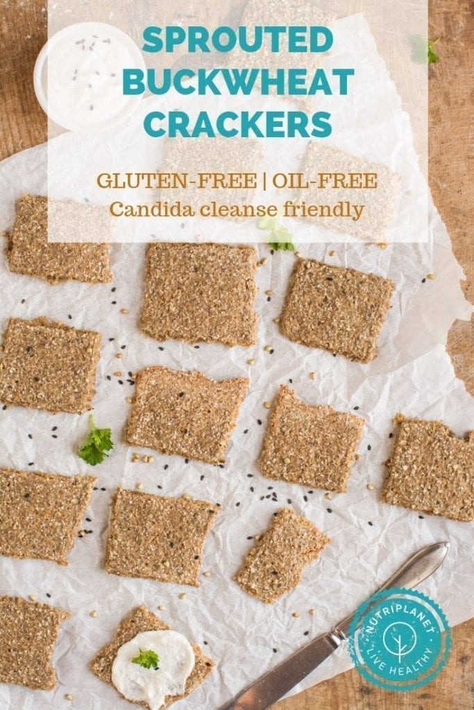 Gluten-Free Sprouted Crackers [Oil-Free] | Nutriplanet