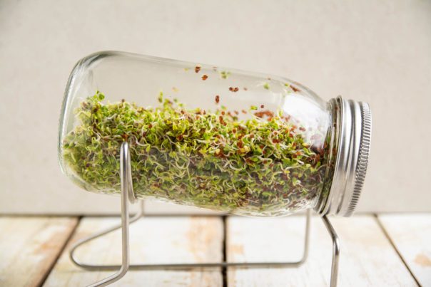 Broccoli Sprouts Benefits & How to Grow Broccoli Sprouts | Nutriplanet
